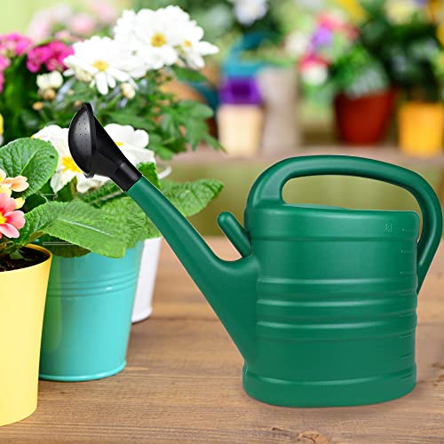 Snapklik.com : Hoople Premium 2 Gallon Watering Can For All Plants, 8L ...