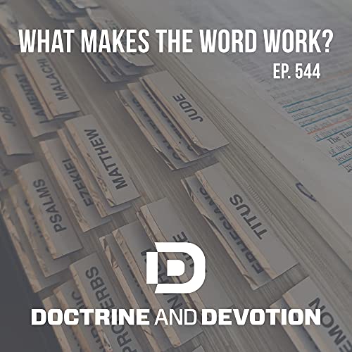 How the Word Works : Amazon.co.uk: Audible Books & Originals