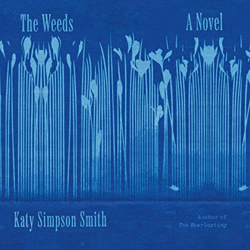 Amazon.com: The Story of Land and Sea (Audible Audio Edition): Katy ...