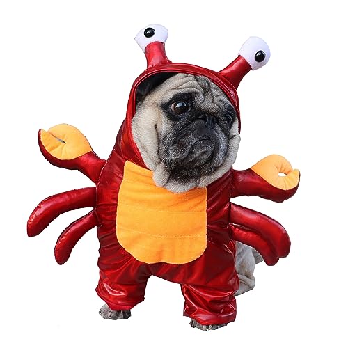 10 Adorable Costumes for Pugs: Dress Up Your Furry Friend with these ...