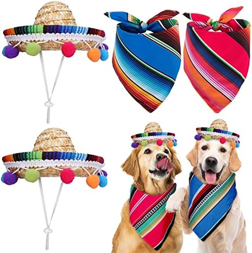 Amazon.com : Whaline Mexican Theme Dog Costumes Cinco De Mayo Colorful ...