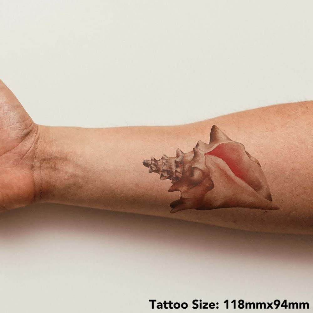 Small Conch Tattoo