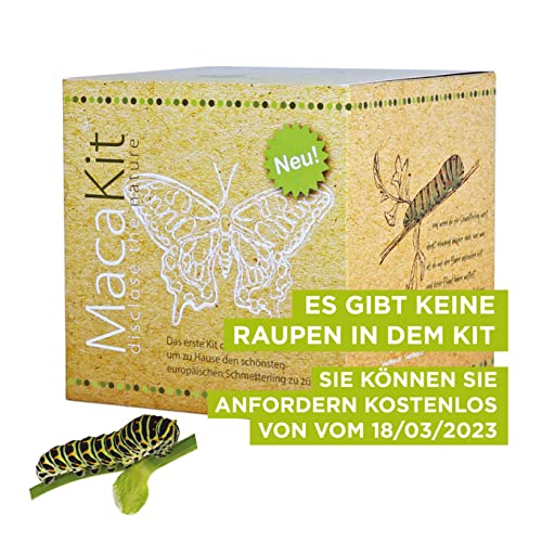 Die 16 besten Zucht Schmetterlinge - Haustierratgeber Ratgeber