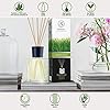 Amazon.com: Lemongrass Reed Diffuser w/Natural Essential Lemongrass Oil ...