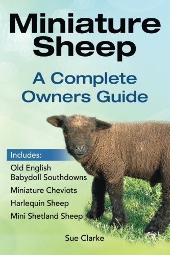 Miniature Sheep Complete Owners Guide: Includes Old English Babydoll ...