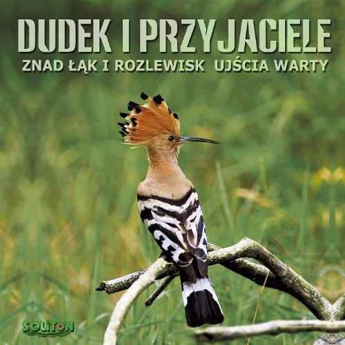 Amazon.com: Bird Songs of the Meadows and Marshes : Dudek i Przyjaciele ...
