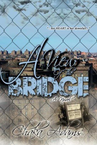 Amazon.com: A View of The Bridge: 9780988701052: Adams, Chaka: Books