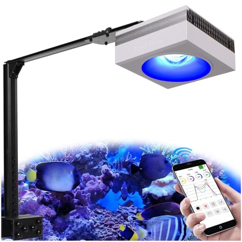 Iluminación de agua de mar - Los 15 mejores productos en comparación ...