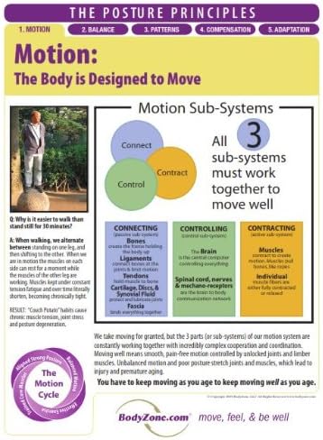 Amazon.com: 5 Posture Principles Poster Set, 18" x 24" (Set of 5 ...