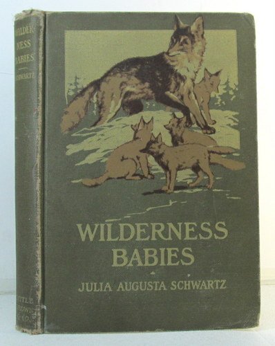 Wilderness Babies: SCHWARTZ, Julia Augusta: Amazon.com: Books
