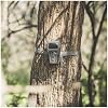 Amazon.com: WILDGAME Innovations Encounter XT Cellular Trail Camera ...