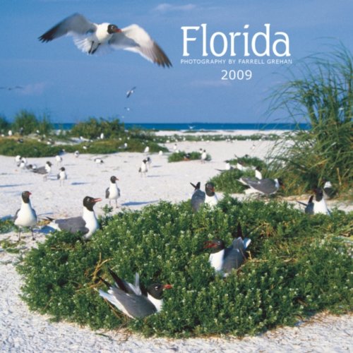 Florida 2009 7X7 Mini Wall Calendar: BrownTrout Publishers Inc ...