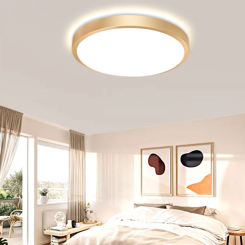 Inexpensive Ceiling Lights Cool Cheap Ceiling Lamps