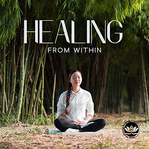 Amazon.com: Healing from Within: 128 Hz Asian Calmness Meditation ...