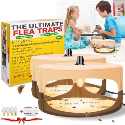 Amazon.com : Flea Traps for Inside Your Home,Sticky Flea Trap,Flea ...