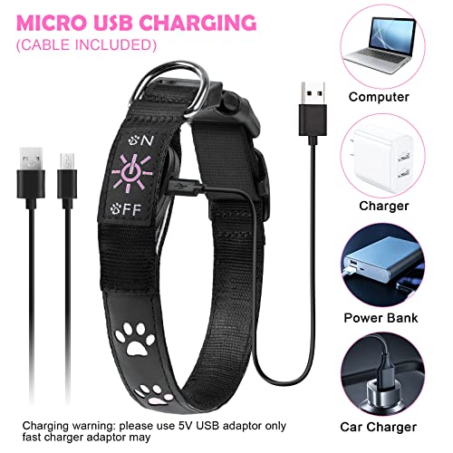 AUAUY Light Up Dog Collar, LED Dog Collar Light USB Rechargeable ...