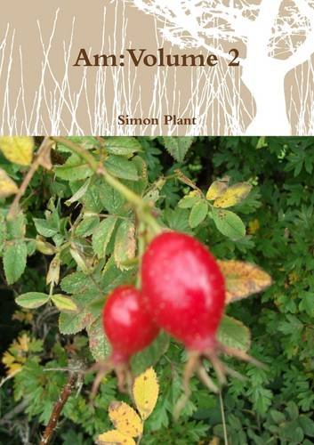 Buy Am:Volume 2 Book Online at Low Prices in India | Am:Volume 2 ...