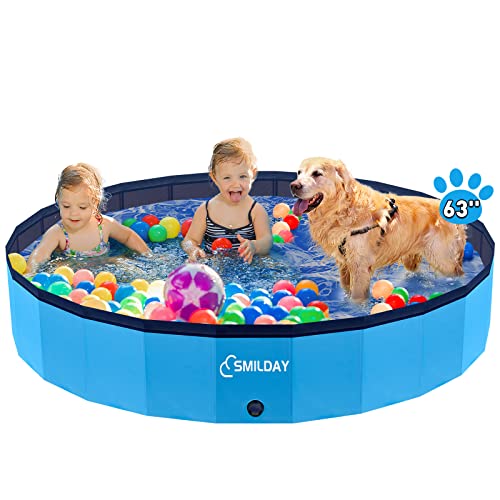 Beat the Summer Heat with these Top 10 Hard Dog Pools – Your Ultimate ...