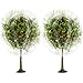 Amazon.com : 2 Packs 8' x 8' Large Garden Cicada Netting for Trees, Ultra-Fine Fruit Tree ...