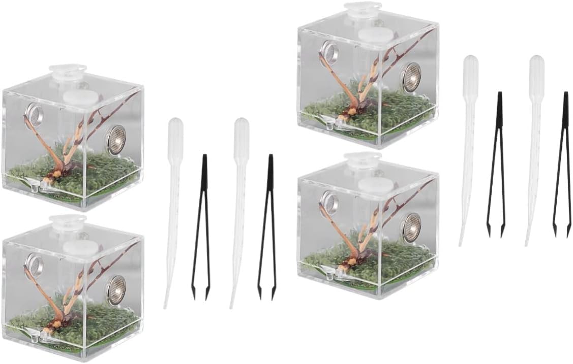 Amazon.com : 2 Sets of for Spider Cage Design and Pet Micro Scorpion ...