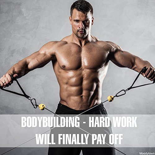 Play Bodybuilding - Hard Work Will Finally Pay Off by VARIOUS ARTISTS ...