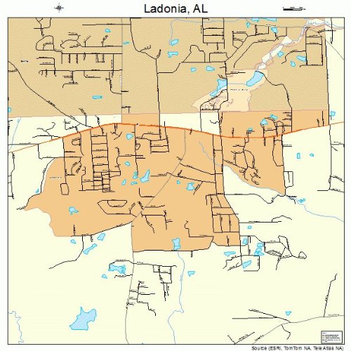 Amazon.com : Large Street & Road Map of Ladonia, Alabama AL - Printed ...