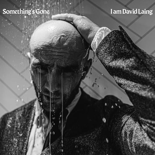 Something's Gone by I am David Laing on Prime Music