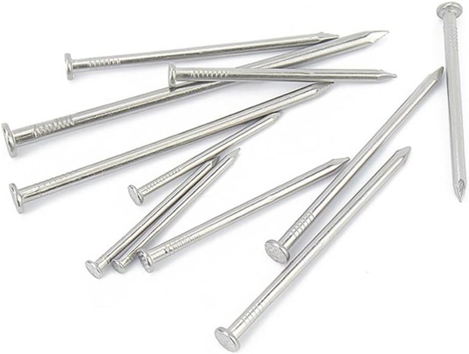 Amazon.com: Common Nails Premium Hardware Nails Assortment Kit, Maximum ...