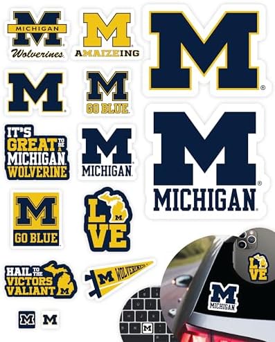 Amazon.com: Desert Cactus University of Michigan Sticker Wolverines UM ...