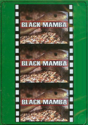 Amazon.com: Black Mamba : Movies & TV