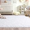 Amazon.com: 8x10 Fluffy Rugs for Living Room, Large White Area Rug for ...