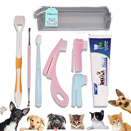 Prognatismo nel cane: problemi correlati, cura e prevenzione