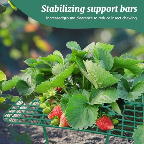 Les-Theresa 12Pcs Strawberry Supports, Strawberry Plant Stand With 4 ...