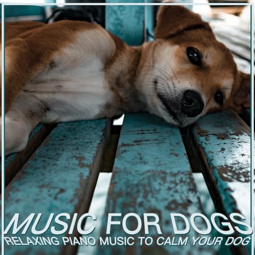 Amazon Music UnlimitedでRelaxmydog, Dog Music Dreams & Pet Music Therapy ...