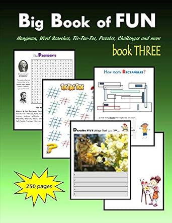 Big Book of FUN, book THREE: Hangman, Word Searches, Tic-Tac-Toe ...