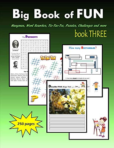 Big Book of FUN, book THREE: Hangman, Word Searches, Tic-Tac-Toe ...