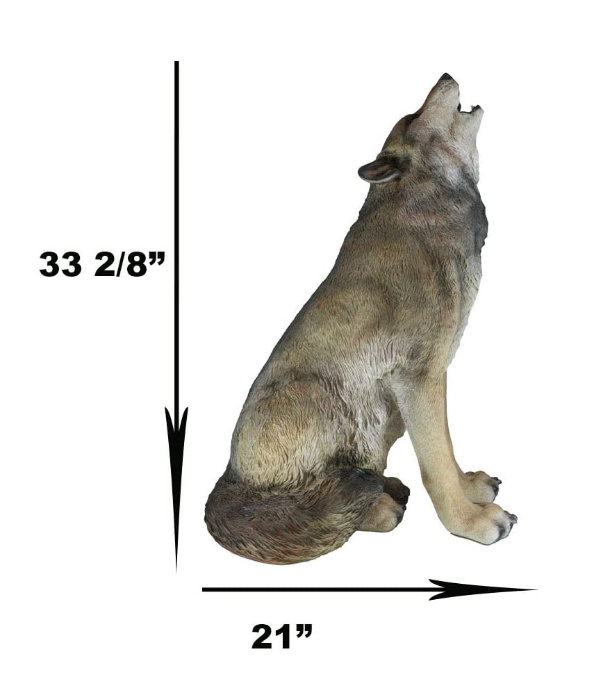 Wolf Sitting Front View
