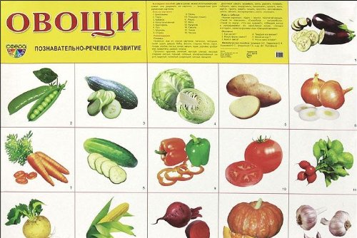 Amazon.com: Ovoschi. Plakat: 9785994905029: unknown author: Books