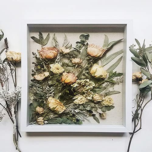Louise Singleton Creations's Amazon page