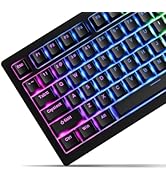 Amazon.com: HITIME x XVX Spider Web Keycaps 60 75 100 Percent - Shine ...