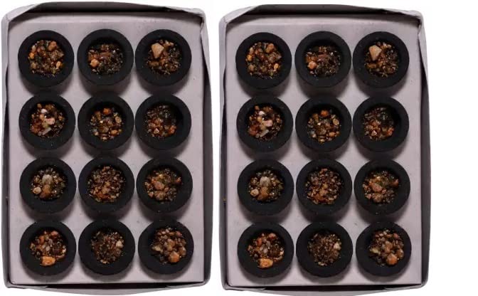 YTM (24 Cups) Natural Loban Cup Dhoop for Pooja with Sambrani | Guggal ...