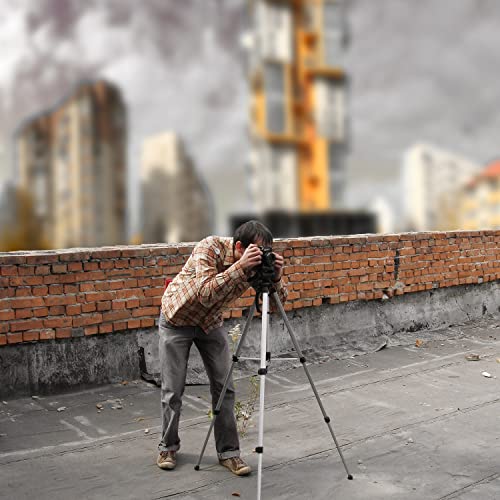 Écouter Day in a Life de Strish sur Amazon Music Unlimited