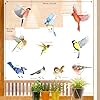 DECOWALL CDS2-9001 10 Beautiful Garden Birds Static Cling Window ...
