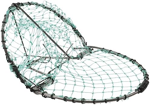Amazon.com : VOSAREA Bird Pigeon Humane Live Bird Traps for Small Birds ...