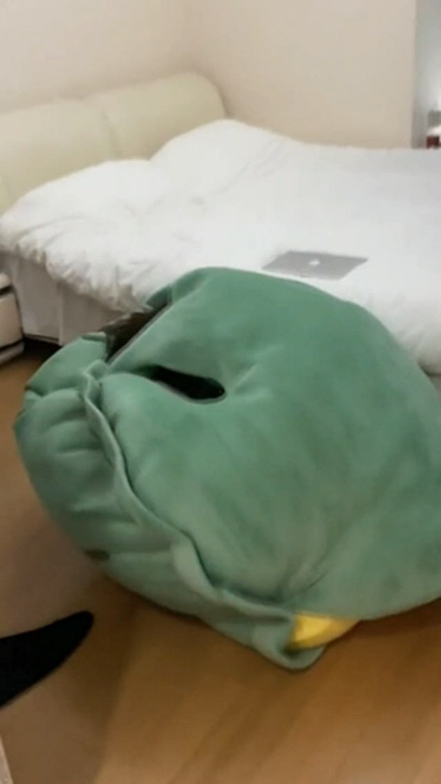 Watch Turtle Pillow Wearable, Turtle Shell Pillow on Amazon Live