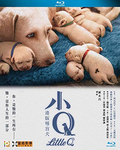 Amazon.com: Little Q (Region A Blu-ray) (English Subtitled) 小Q : Simon ...