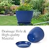 Amazon.com: MUXINCAMP 7 Inch Large Plant Pots, 6 Pack Flower Pots with ...