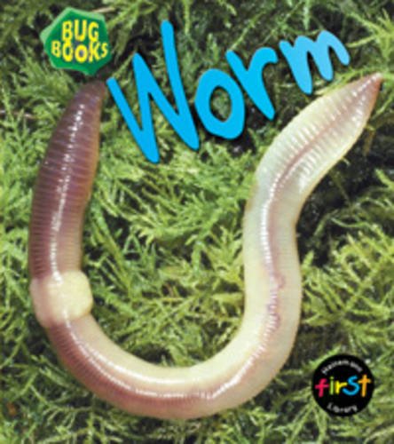 Worm (Bug Books): Jill Bailey: 9780431019017: Amazon.com: Books