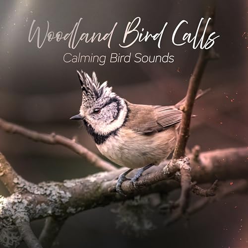 Woodland Bird Calls by Calming Bird Sounds on Amazon Prime Music