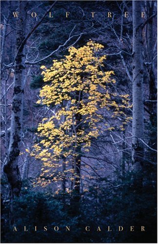 Amazon.com: Wolf Tree: 9781550503593: Calder, Alison: Books